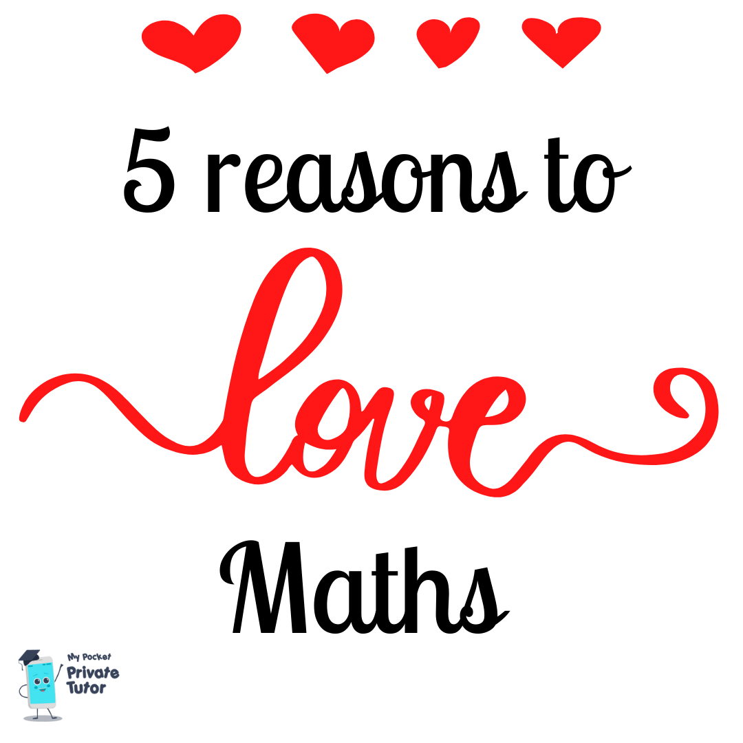Love Maths Pocket Private Tutor